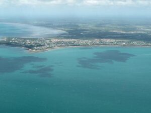 Morze Północne – najważniejsze informacje | Dzień morza